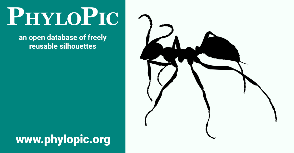 Sphecomyrma freyi by T. Michael Keesey (CC0 1.0) - PhyloPic