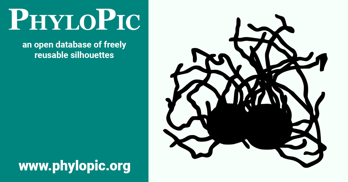 Sphaerotheca (CC0 1.0) - PhyloPic