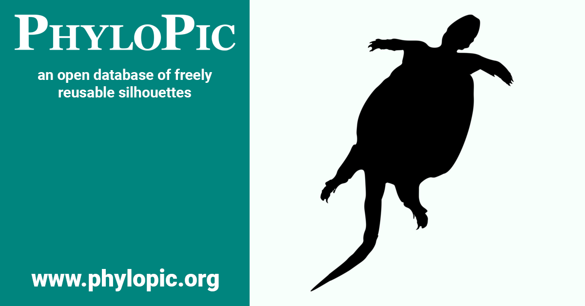 Chisternon undatum (CC0 1.0) - PhyloPic