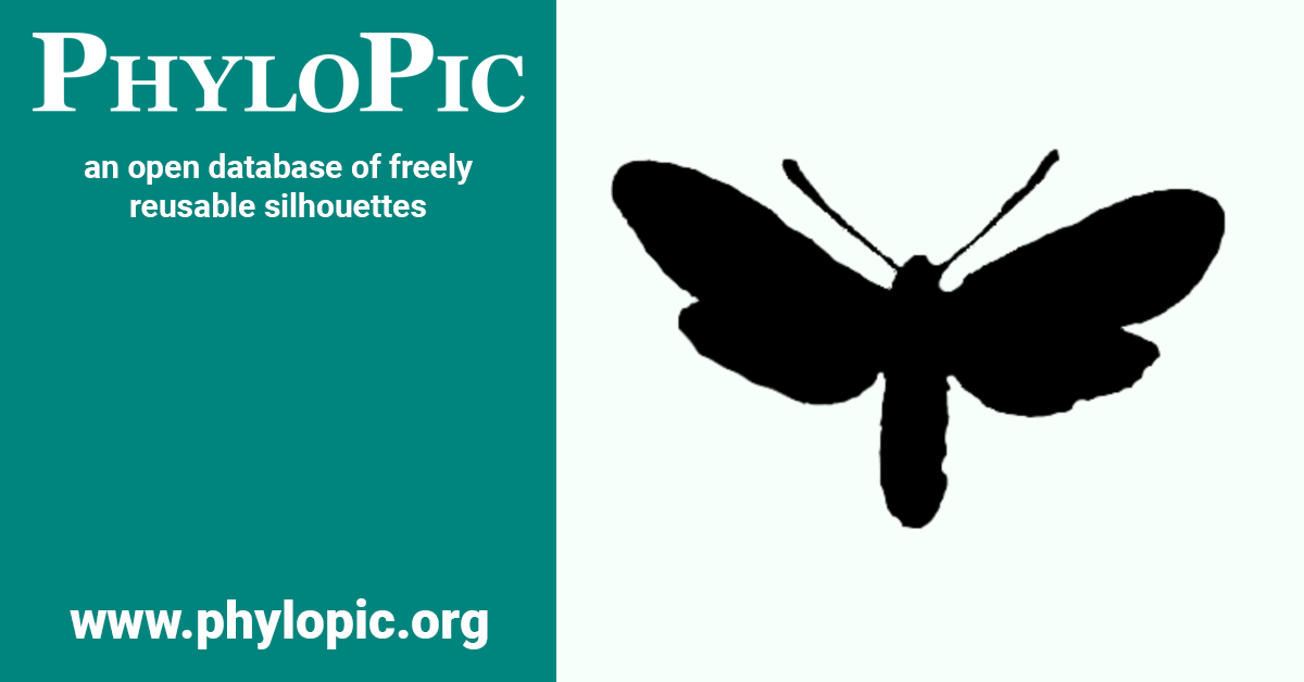 Zygaena minos by Deuchert, H.; Kappel, August Wilhelm.; Kirby, William ...