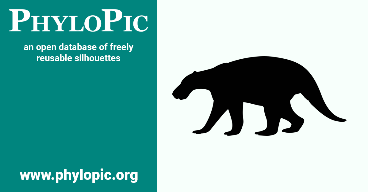 Barylambda faberi by Michael Tripoli (CC BY 4.0) - PhyloPic