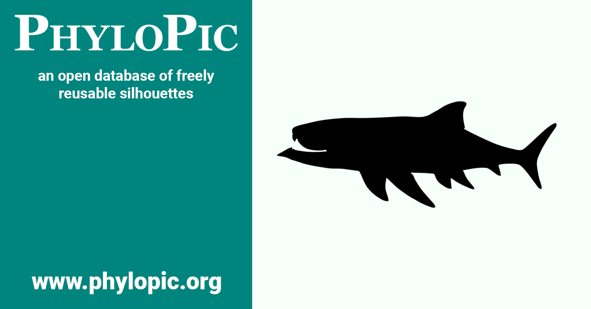 Bungartius perissus by Olof Moleman (CC BY 4.0) - PhyloPic