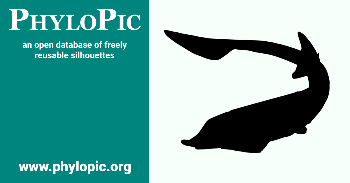 Qilinyu rostrata by Apokryltaros (modified) (CC BY-SA 3.0) - PhyloPic