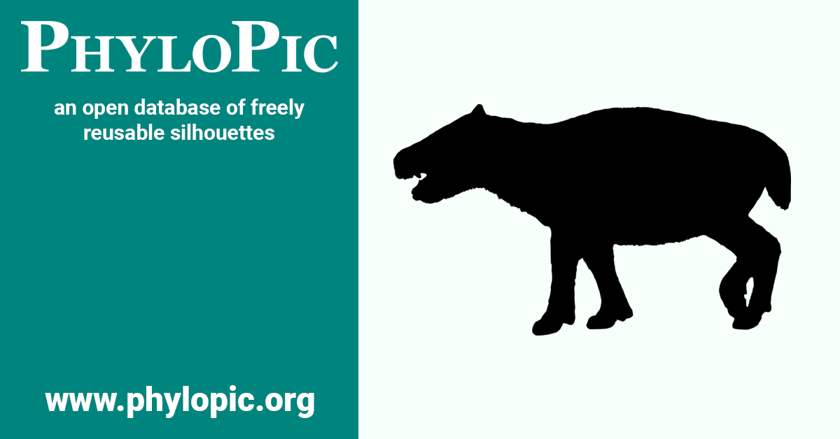 Megadolodus molariformis by Zimices / Julián Bayona (CC BY 3.0) - PhyloPic