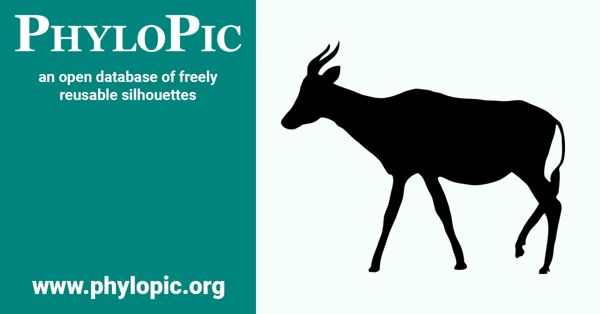 Tragoportax gaudryi by Oscar Sanisidro (CC0 1.0) - PhyloPic