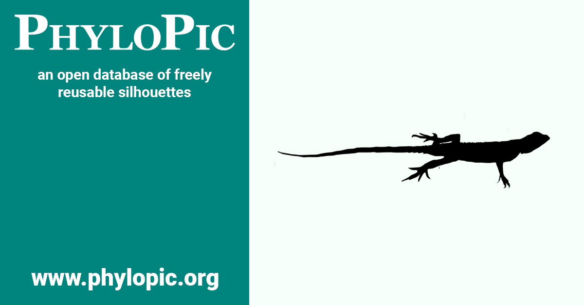 Sceloporus consobrinus by LO Frishkoff (CC0 1.0) - PhyloPic