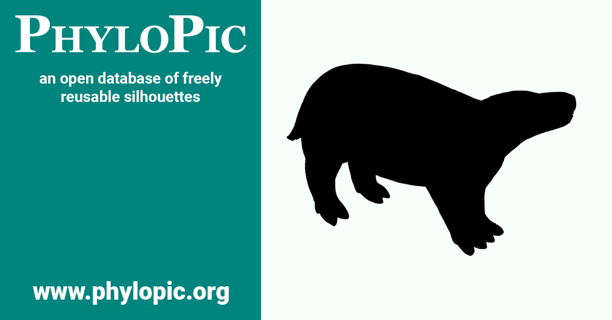 Heliosus apophis by Jacob Schick (CC BY 4.0) - PhyloPic