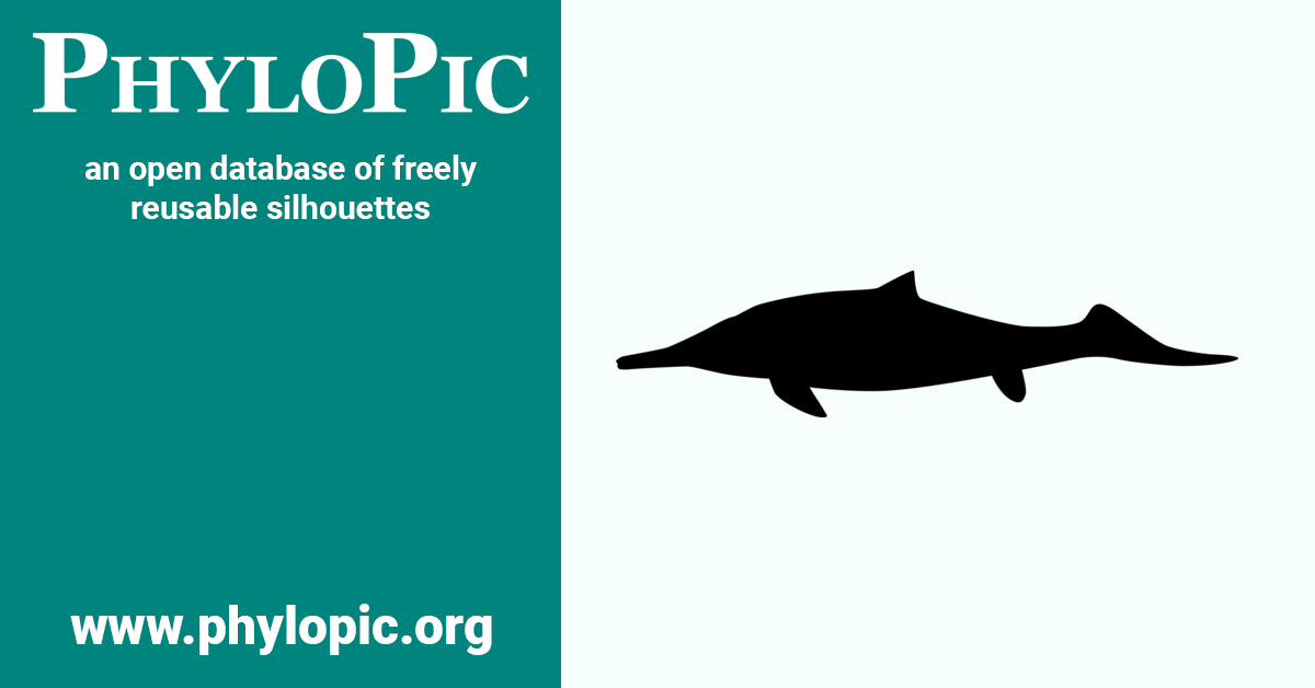 Mixosaurus cornalianus by Gareth Monger (CC BY 3.0) - PhyloPic