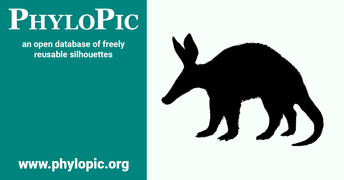 Orycteropus afer - PhyloPic