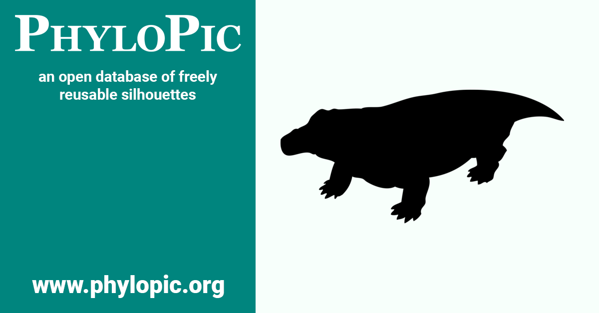 Struthiocephalus by Dmitry Bogdanov (vectorized by T. Michael Keesey ...