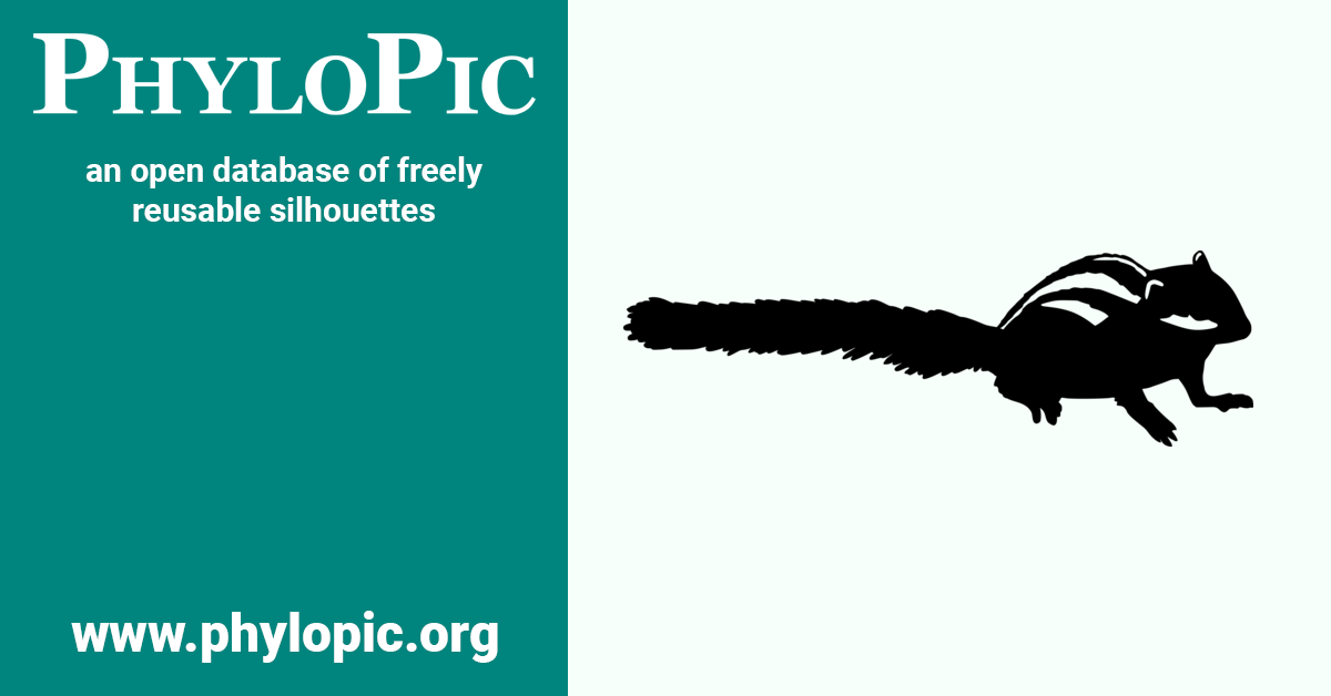 Funambulus - PhyloPic