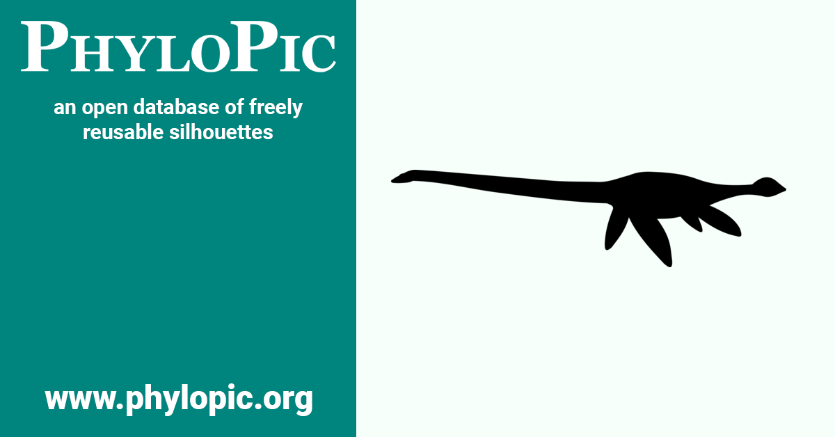 Tuarangisaurus keyesi by Arthur S. Brum (CC0 1.0) - PhyloPic