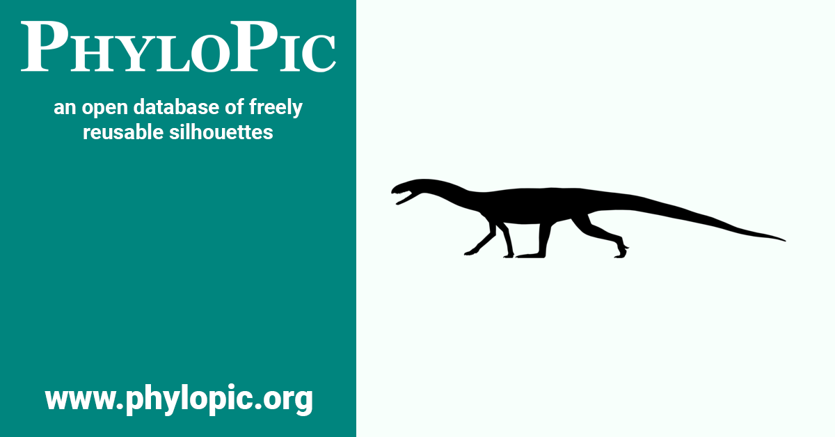 Teleocrater rhadinos by Scott Hartman (CC BY 3.0) - PhyloPic