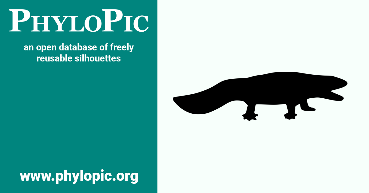 Hynerpeton bassetti by Will Toosey (CC BY 4.0) - PhyloPic