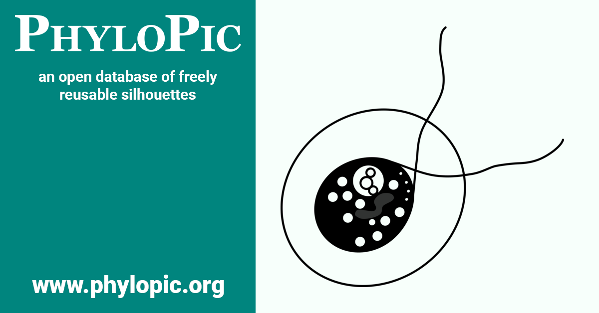 Haematococcus by Matt Crook (CC BY-SA 3.0) - PhyloPic