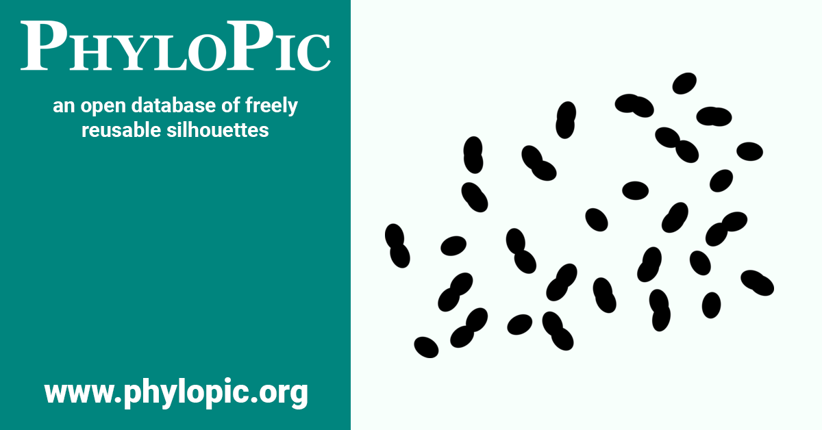 Eubacteria - PhyloPic