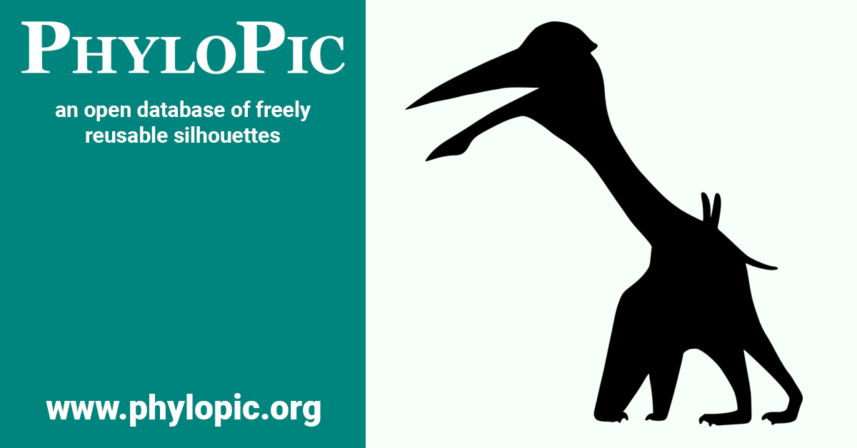 Albadraco tharmisensis by jack liddle (CC BY 4.0) - PhyloPic