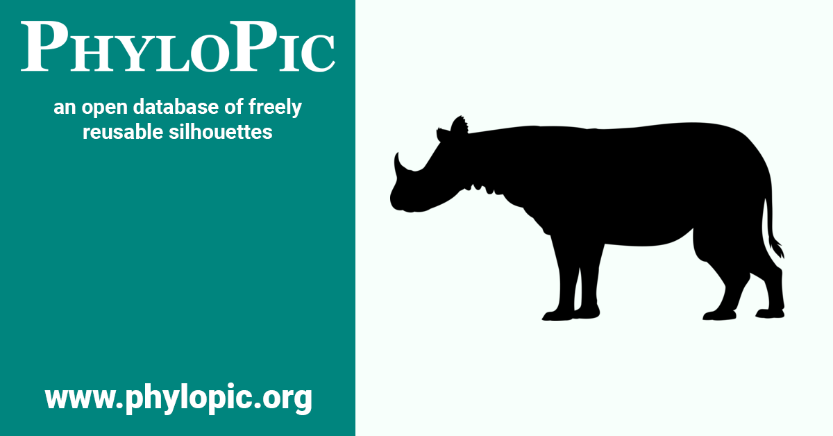 Nesorhinus philippinensis by Michael Tripoli (CC BY 4.0) - PhyloPic