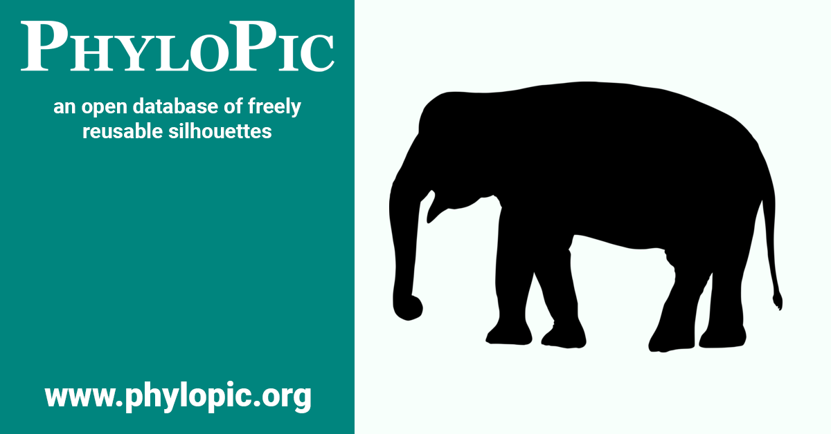 Elephas maximus by Andy Wilson (CC0 1.0) - PhyloPic