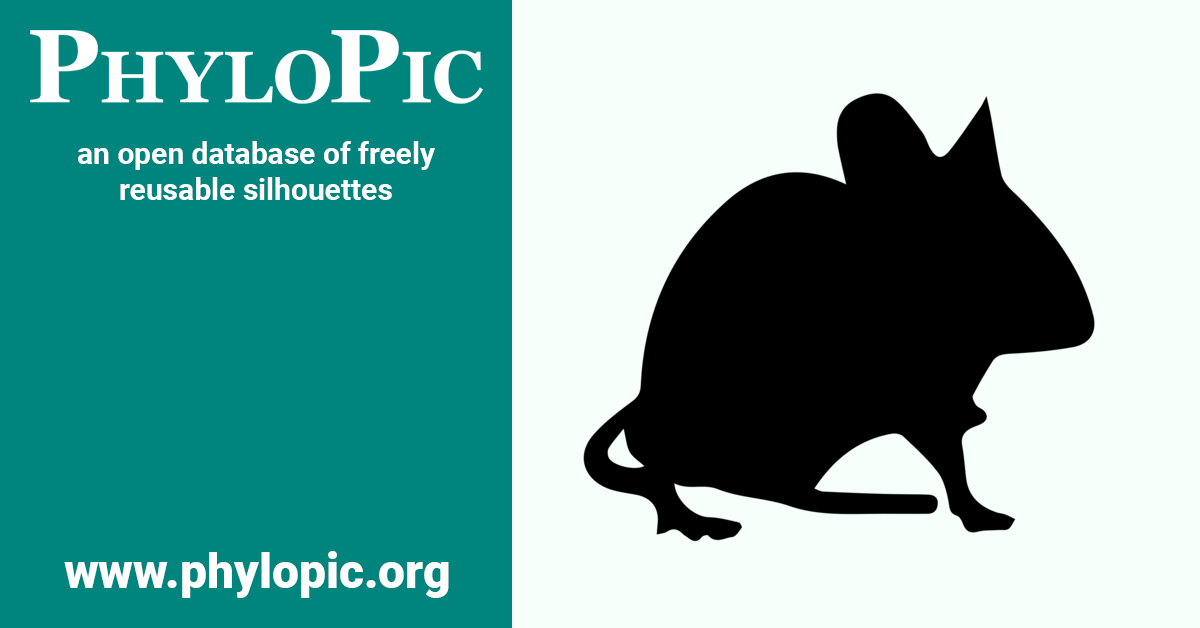 Mus musculus (CC0 1.0) - PhyloPic