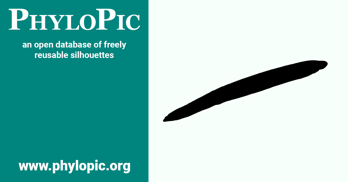 Branchiostoma floridae by Bennet McComish, photo by Hans Hillewaert (CC ...