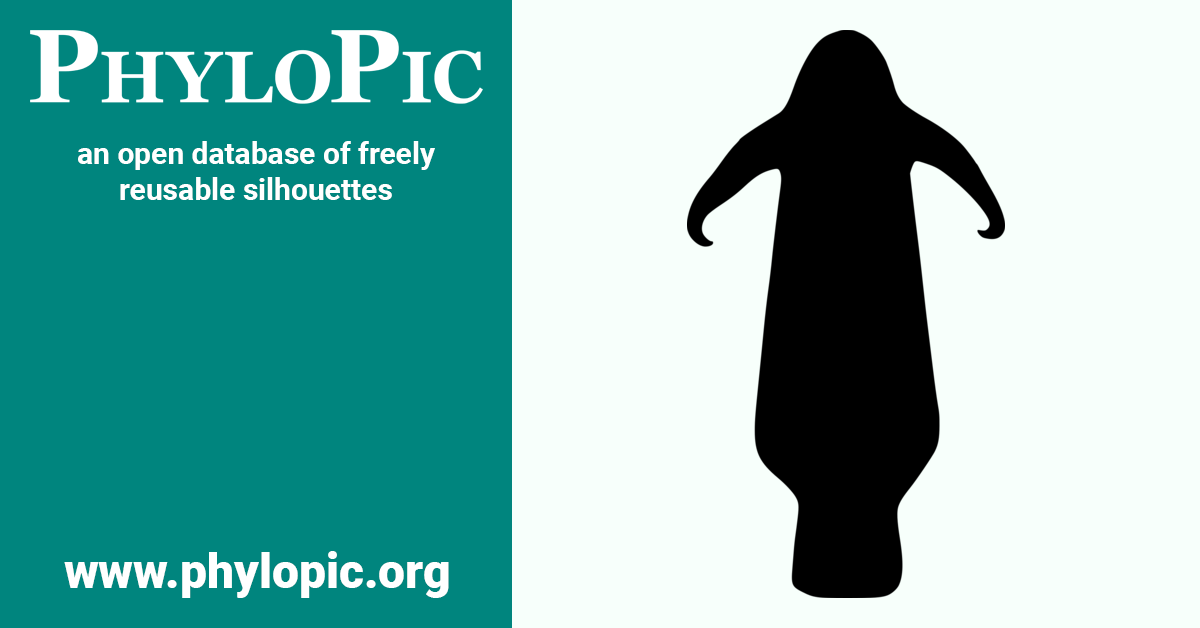 Nectonemertes mirabilis (CC0 1.0) - PhyloPic