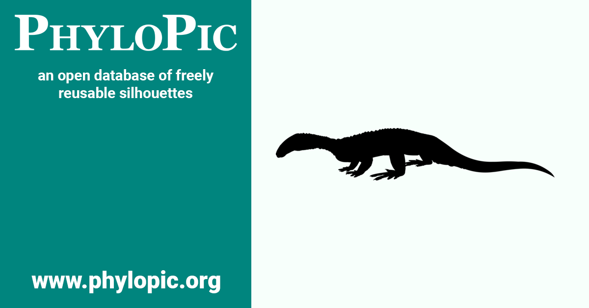 Prolacerta broomi by T. Michael Keesey (CC0 1.0) - PhyloPic