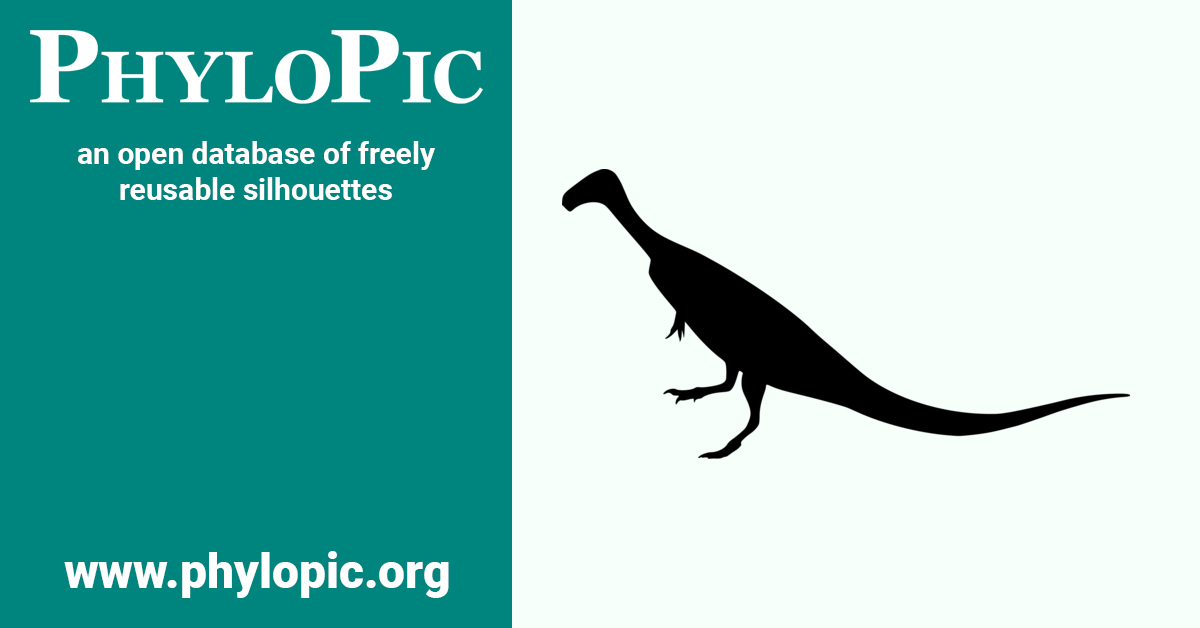 Chilesaurus diegosuarezi by Jaime Headden (CC BY 3.0) - PhyloPic