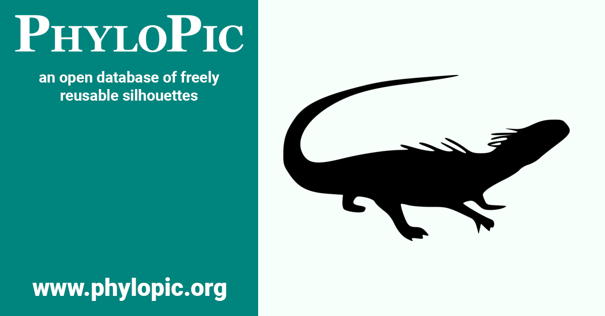 Acleistorhinus pteroticus (CC0 1.0) - PhyloPic