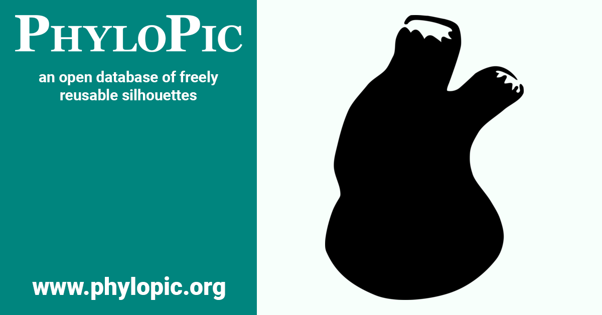 Ciona savignyi by Mali'o Kodis, photograph by Melissa Frey (CC BY-NC 3. ...