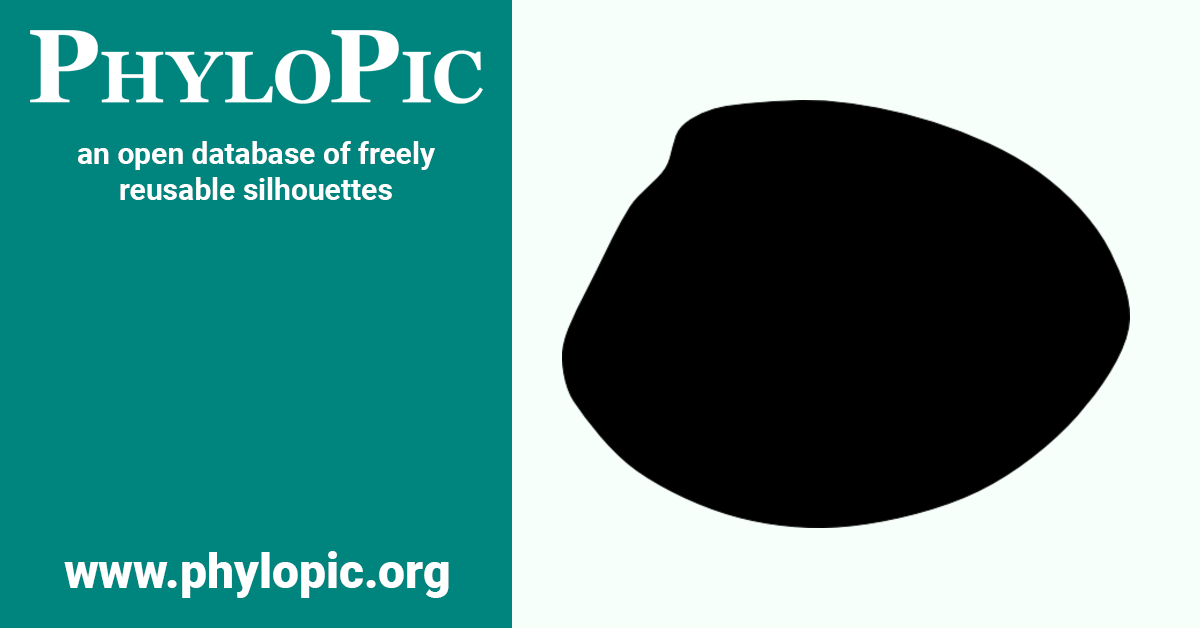 Nucula nitidosa by Katie S. Collins (CC BY 3.0) - PhyloPic