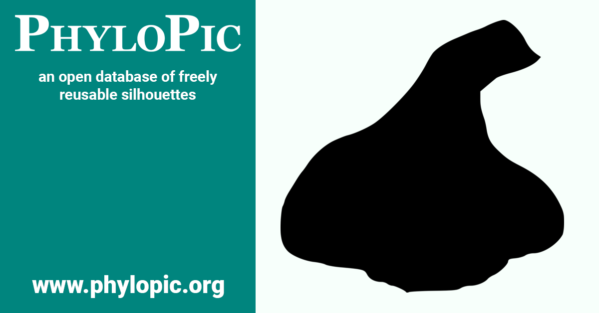 Inaria karli by Apokryltaros (CC BY-SA 3.0) - PhyloPic