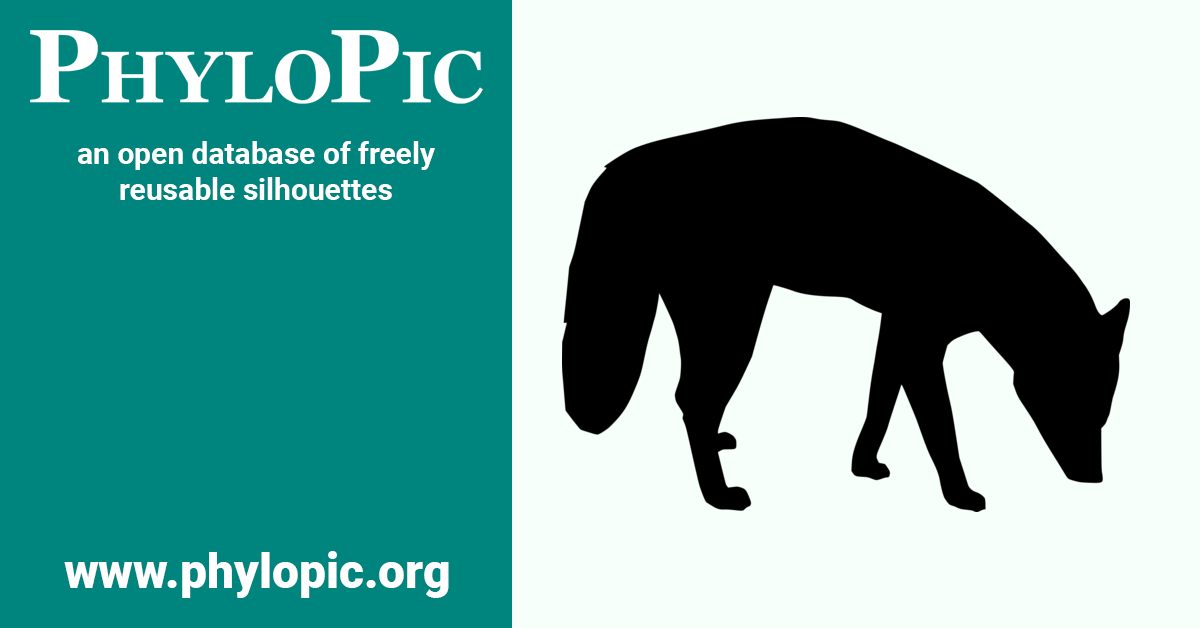 Atelocynus microtis by Margot Michaud (CC0 1.0) - PhyloPic