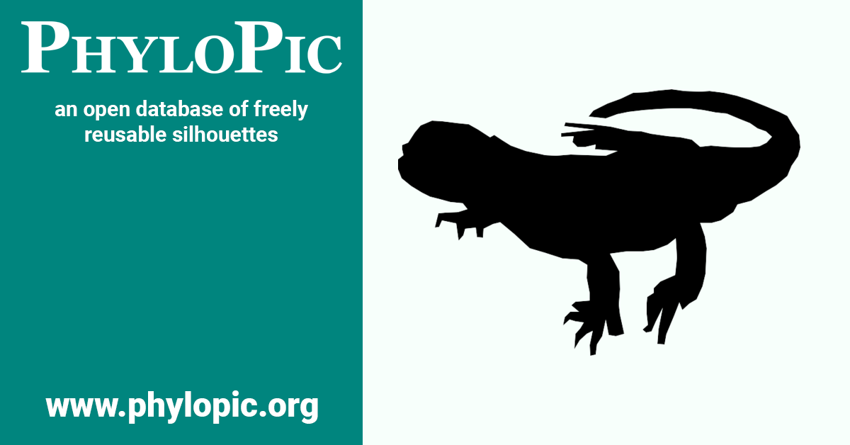 Phrynocephalus vlangalii - PhyloPic