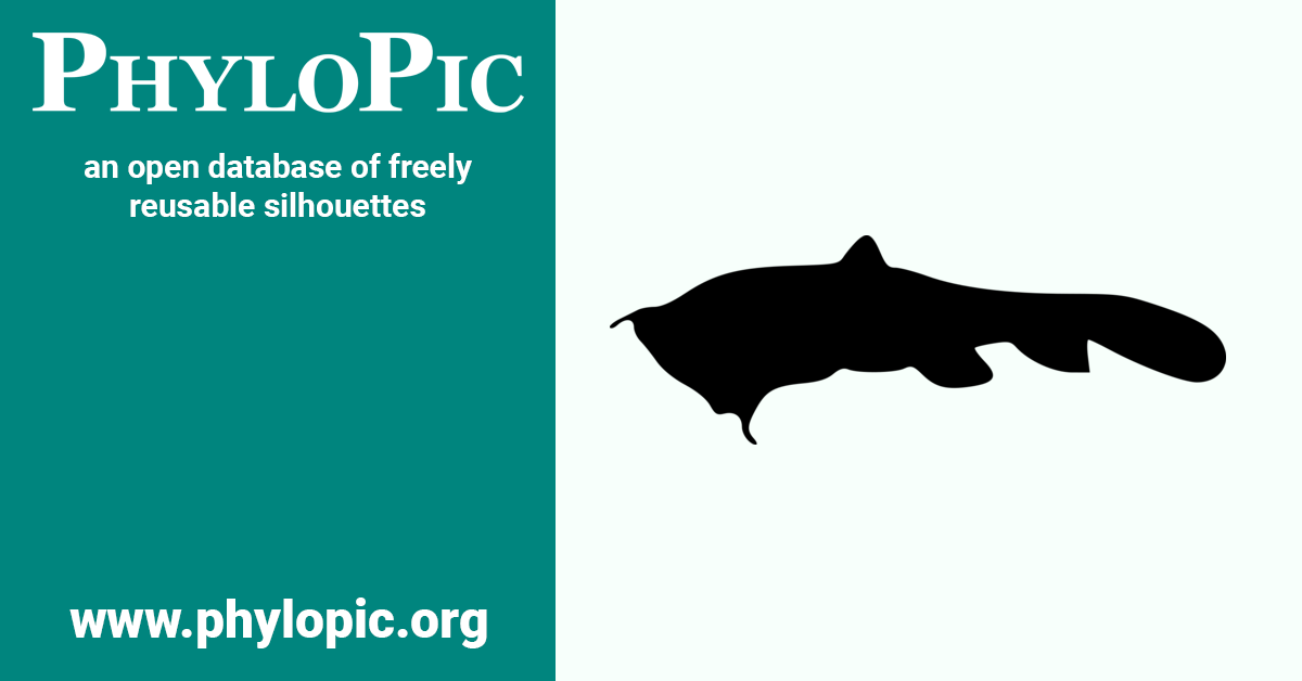 Chaca chaca by Michigan Science Art (CC BY 4.0) - PhyloPic