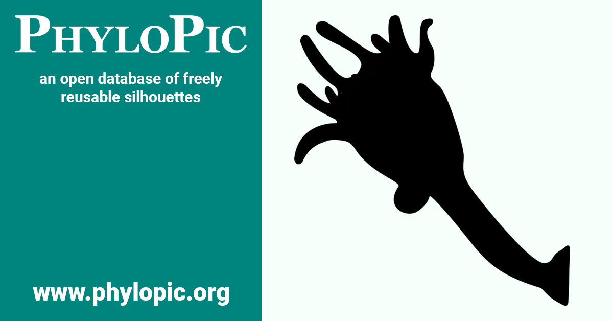 Entoprocta by Michelle Site (CC BY-NC 3.0) - PhyloPic