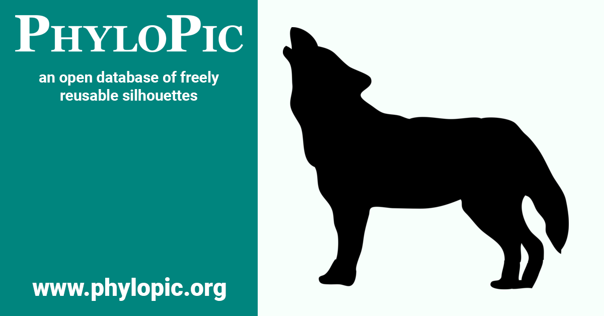 Canis lupus monstrabilis by Tracy A. Heath (CC0 1.0) - PhyloPic
