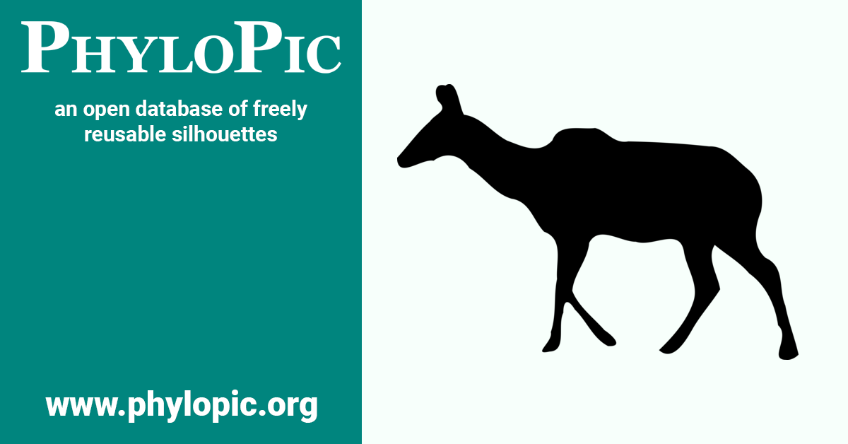 Tragelaphus - PhyloPic
