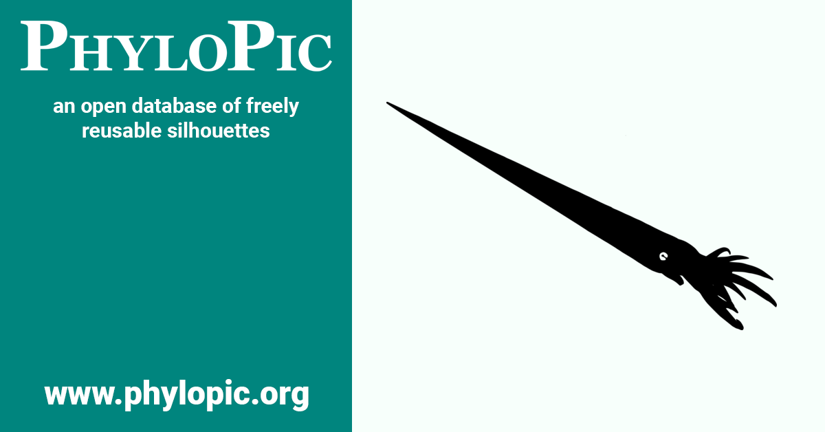 Endoceras by Entelognathus (modified) (CC BY-SA 3.0) - PhyloPic