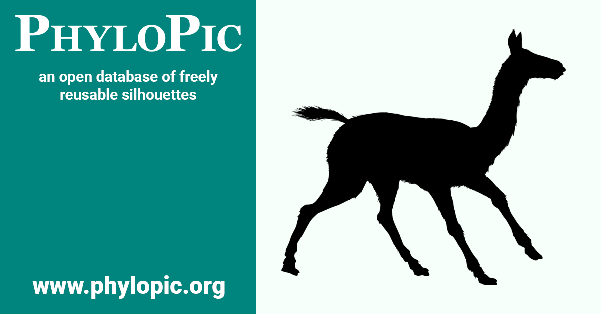 Protolabis barstowensis by T. Michael Keesey (CC0 1.0) - PhyloPic