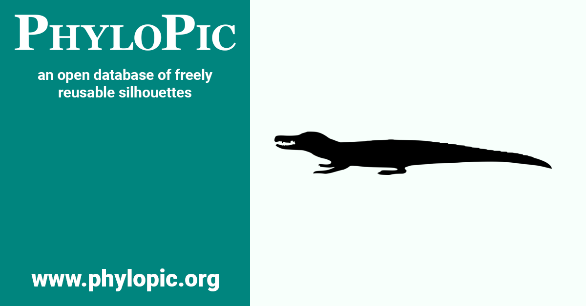 Allodaposuchus palustris by Blanco et al., 2014, vectorized by Zimices ...