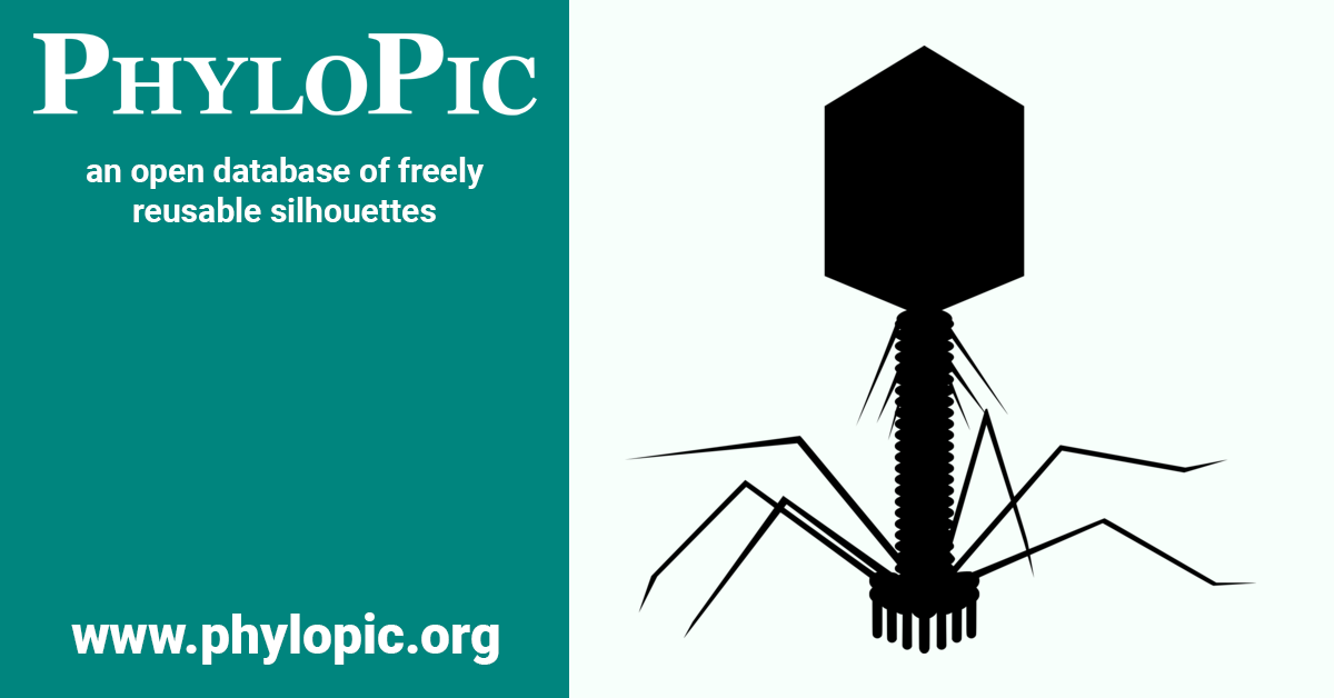 Enterobacteria phage T4 (CC0 1.0) - PhyloPic