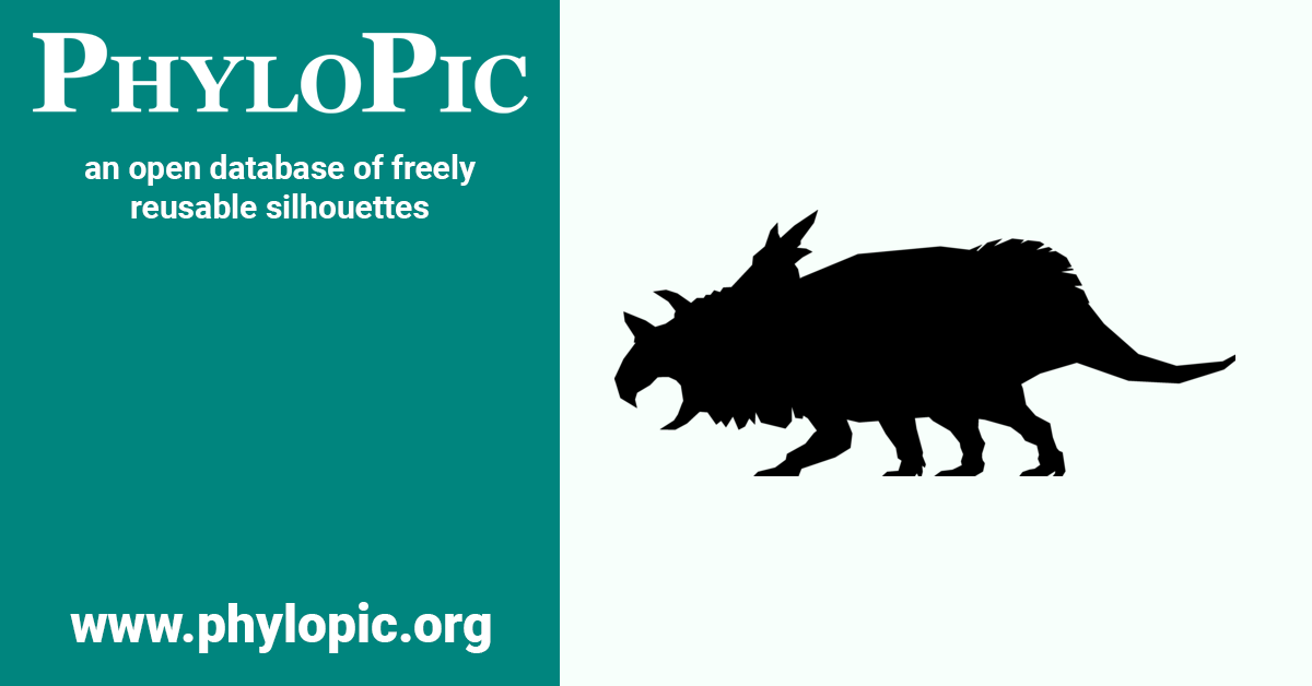 Spiclypeus shipporum by Tasman Dixon (CC0 1.0) - PhyloPic