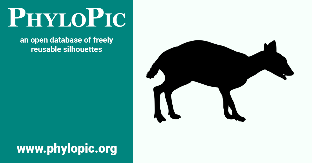 Hypertragulidae - PhyloPic