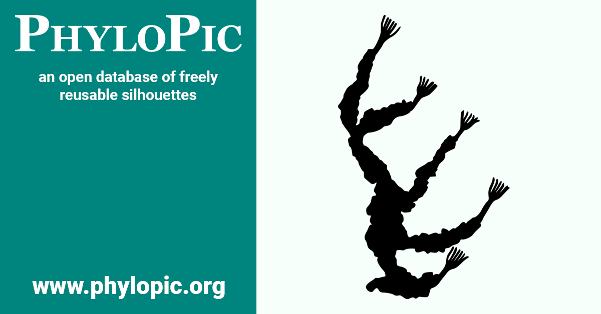 Phoronis psammophila (CC0 1.0) - PhyloPic