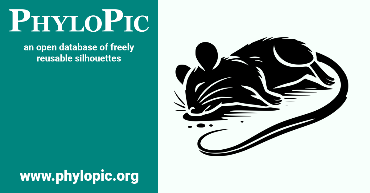 Mus musculus (CC0 1.0) - PhyloPic