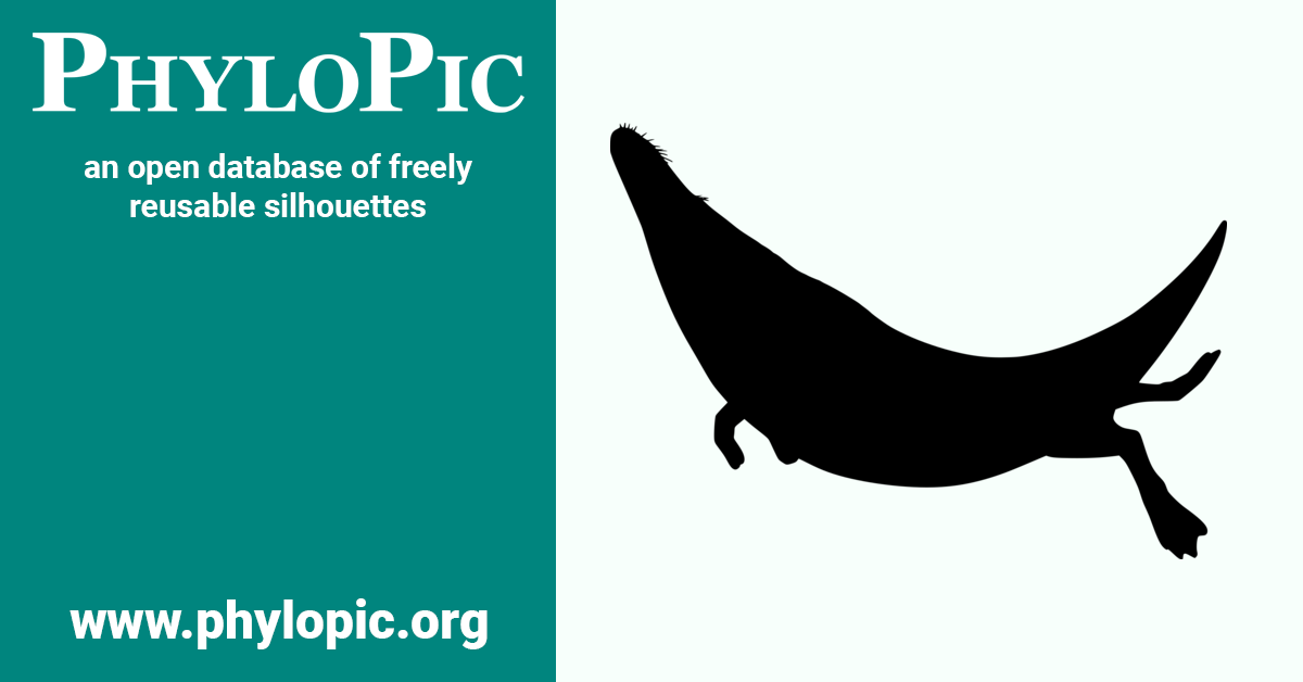 Phiomicetus anubis by Nix Illustration (CC BY-NC 3.0) - PhyloPic