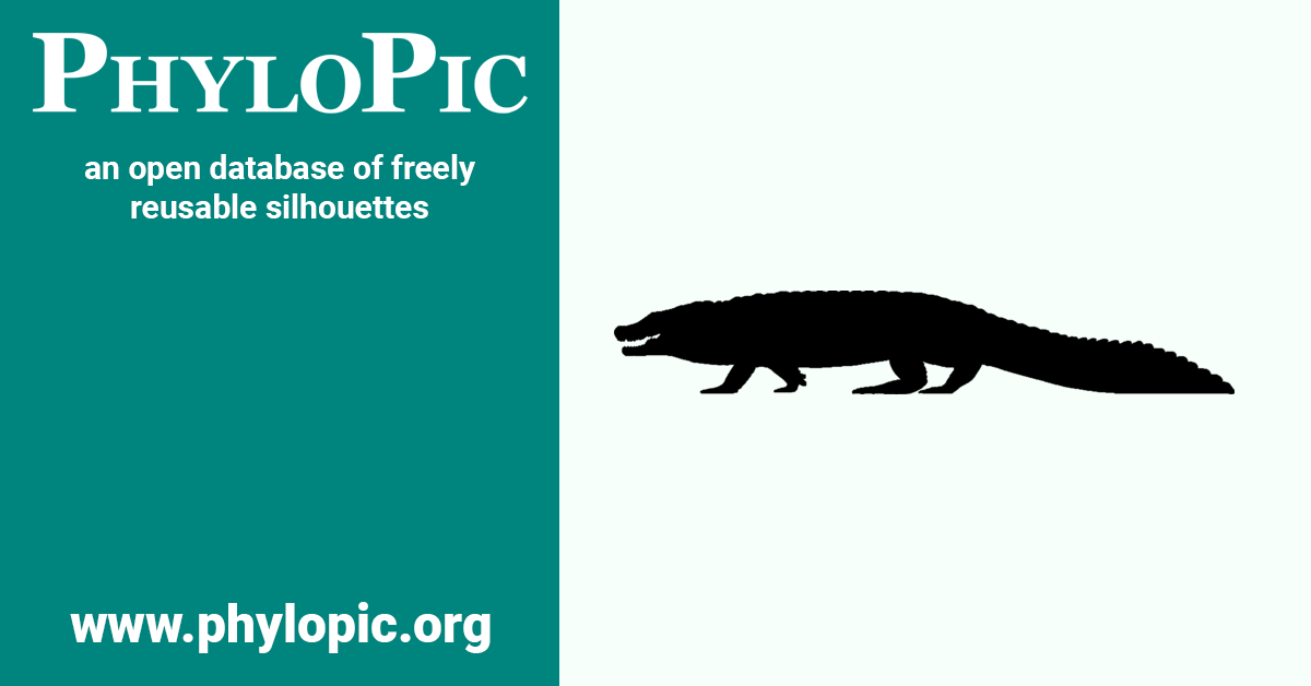 Acynodon iberoccitanus by François-Louis Pelissier (CC0 1.0) - PhyloPic