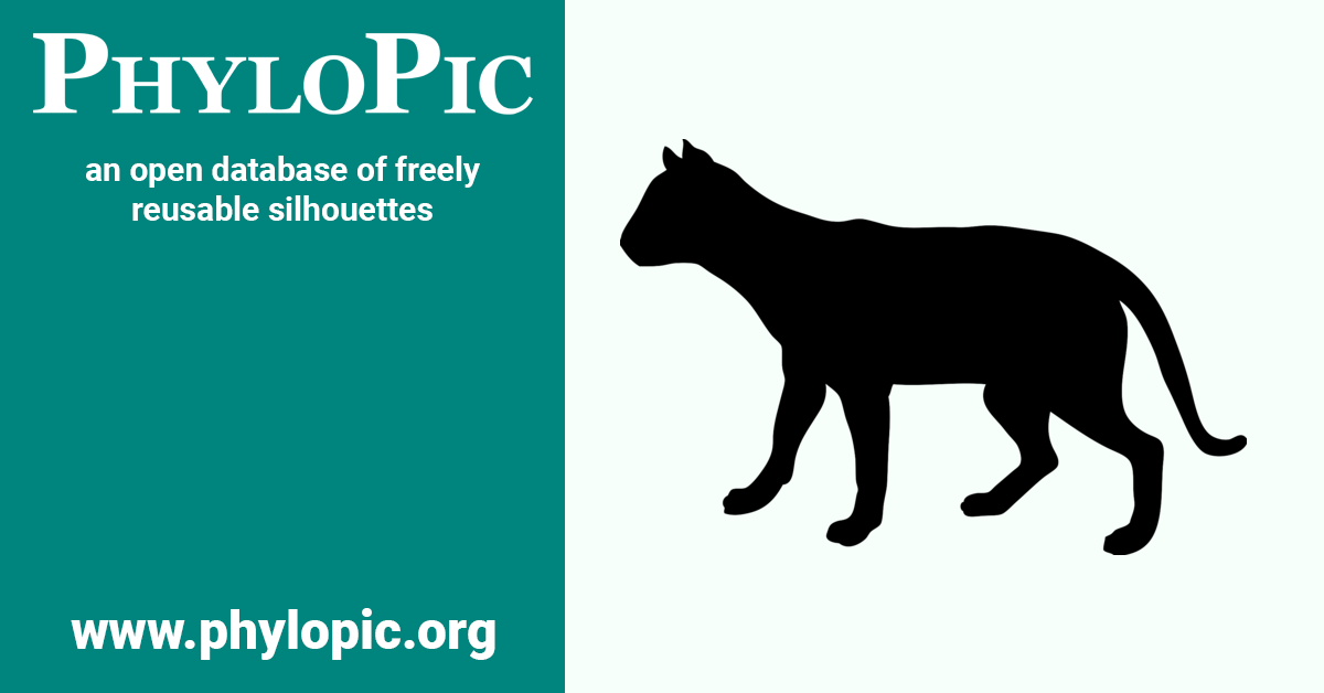 Felis silvestris catus - PhyloPic