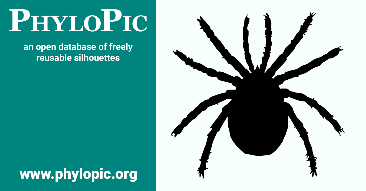 Palaeotarbus jerami (CC0 1.0) - PhyloPic